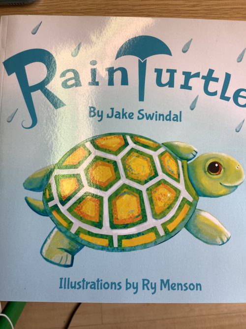Rain Turtle | schoolintokyo.com